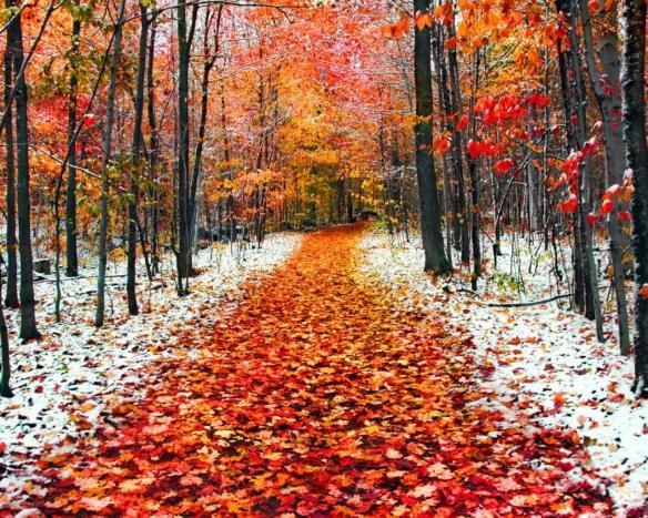 A Better Season | Cruciform Stuff